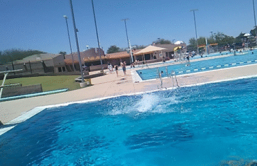 Wellness and Health Blog Directory USA